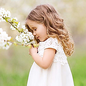 Babo Botanicals Smoothing Berry 2-in-1 Shampoo & Wash - Detangling & Nourishing - Eliminates Frizz & Prevents Static - Evening Primrose Oil - For all ages - Light Berry Fragrance- Vegan