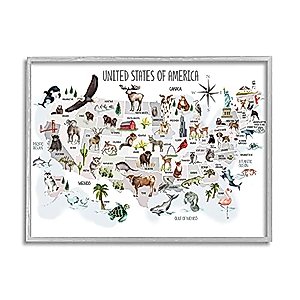 Stupell Industries United States of America Map of Animals Kid's Illustration, Designed by Studio Q Gray Framed Wall Art, 11 x 14, Brown
