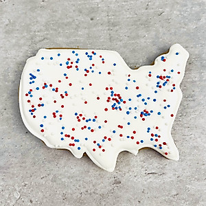 USA Map Cookie Cutter 4" Made in USA by Ann Clark