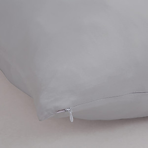 ROYALE LINENS Body Pillow Cover - Double Brushed 1800 Microfiber - 20"x54" with Hidden Zipper Closure - Wrinkle & Fade Resistant - Super Soft Body Pillowcase 2 Pack (Silver, Pack of 2)