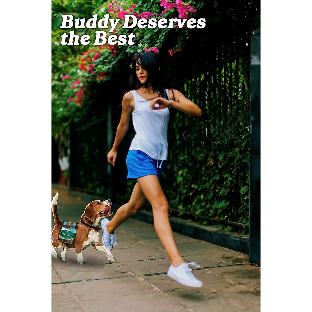 Rallie Peanut Butter Enhanced Water Supplement for Dogs - Includes Collagen for Skin & Coat, Glucosamine for Hip & Joint Support, as Well as Electrolytes for Superior Hydration Pack of 12