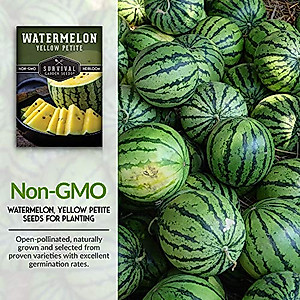 Survival Garden Seeds - Yellow Petite Watermelon Seed for Planting - Packet with Instructions to Plant and Grow Small Yellow Watermelons in Your Home Vegetable Garden - Non-GMO Heirloom Variety