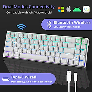 RK ROYAL KLUDGE RK71 Wireless/Wired Mechanical Keyboard and 7200 DPI Gaming Mouse, 71 Keys RGB Red Switch Hot Swappable Compact Gaming Keyboard for Win/Mac