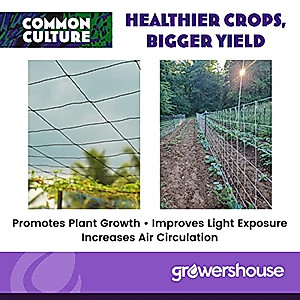 COMMON CULTURE Grow Strong Plant Trellis + Trojan Scissors - 6" Square Soft Mesh Nylon Trellis Netting Bulk Roll - Heavy-Duty Garden Netting for Plants - 5' x 350' - 1 Roll