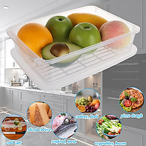 QTLCOHD 8 Pack Large Food Storage Containers with Removable Drain Plate and Lid for Meat Fruits Vegetables Freezer Storage