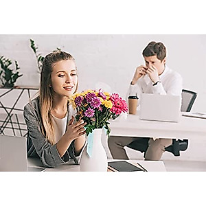 AIRTOK Air Purifiers (1100 ft² Coverage Max AP1002)