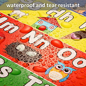 8 Educational Preschool Posters for Toddler and Kid Learning with 60 Glue Point Dot for Nursery Preschool Homeschool Kindergarten Classroom - Teach Numbers Alphabet Colors Months and More 16 x 11 Inch