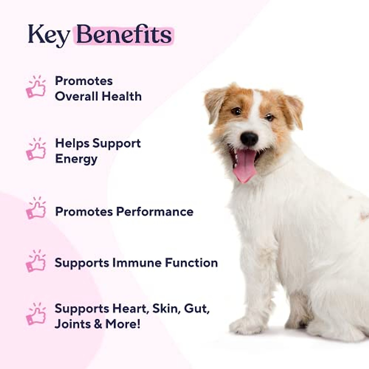 Pawfy Multivitamin Chews | 15 in 1 Premium Supplement | Immunity | Joints | Skin | Coat | Energy | with Vitamins, Oils & Minerals