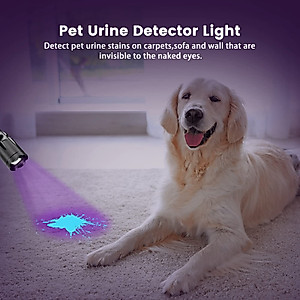 EOWCO UV Flashlight 365nm & 395nm, Ultraviolet Black Light Flashlights, Handheld Zoomable Blacklight Torch Wood's Lamp, Detector for Pet Urine Dry Stains, Resin Curing, Rocks, Scorpions Finder