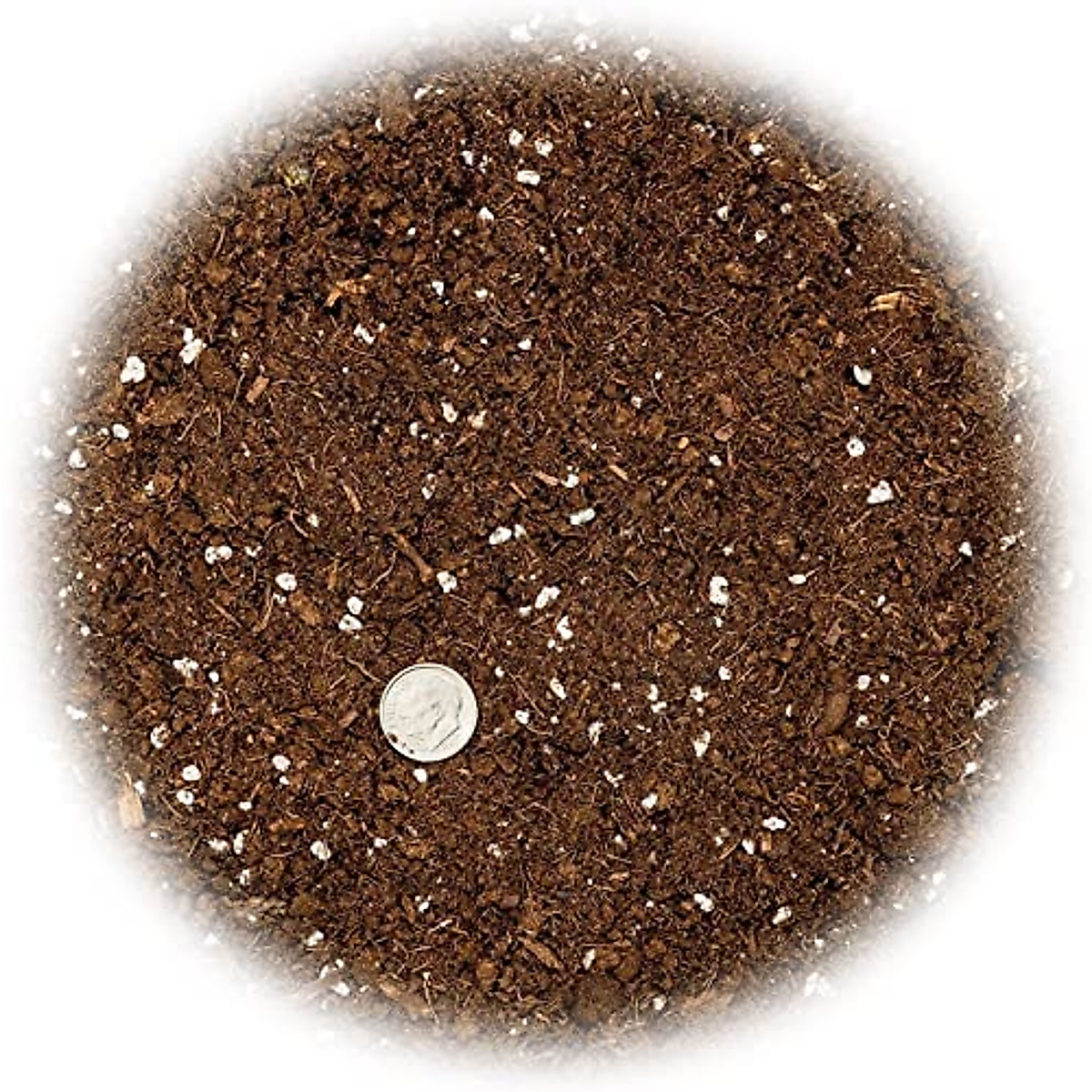 GARDENERA Citrus Tree Potting Soil Mix, Special Blend for Indoor Oranges, Lemons, Limes and More - (1 Quart Bag)