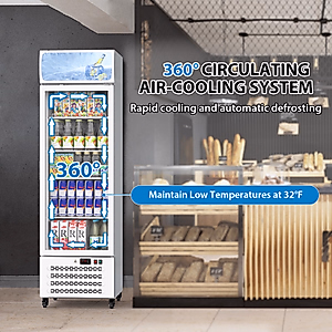 Towallmark Commercial Display Refrigerator, 11.3 Cu.Ft. Beverage Refrigerator Display Fridge, Upright Glass Door Merchandiser Fridge Beverage Cooler with LED Light, Adjustable Shelves