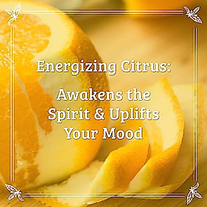 Pharmacopia Citrus Body Lotion - Hydrating Natural Moisturizer with Aromatherapy Benefits - Cruelty-Free Vegan Skin Care - Shea Butter, Aloe Vera, and Jojoba Oil - Lotion for Dry Skin, 16 oz