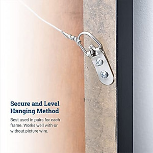 Heavy Duty D-Ring Picture Hangers - 50 Pack - 2 Hole with Screws - Picture Hang Solutions