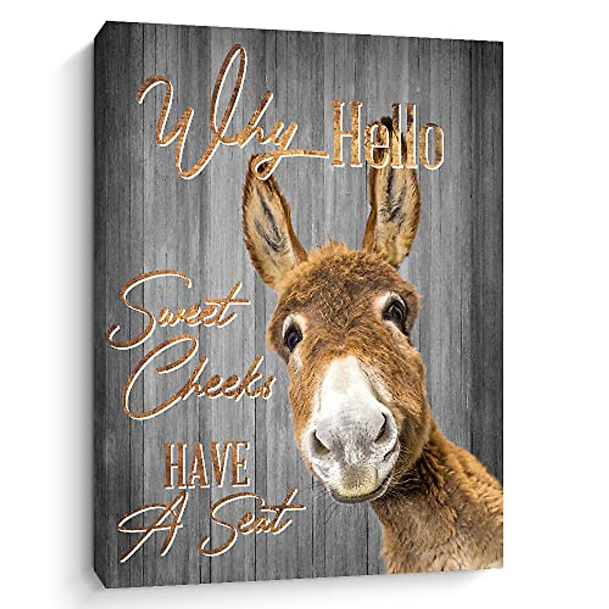 Donkey Bathroom Canvas Wall Art, Why Hello Sweet Cheeks Sign, Funny Animal Bathroom Picture for Wall, Wrapped Canvas Print Decor for Wall Washbasin Shelf, 10.6x13.7 Inch