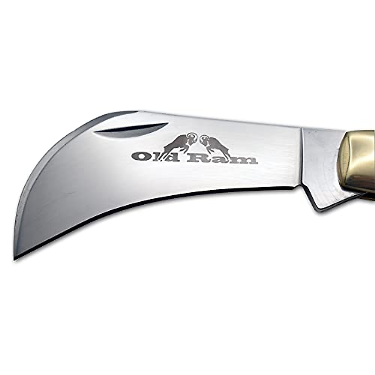 Old Ram Hawkbill Pruner Knife Traditional Lock blade Folding Knife Design Handle for Outdoor, Hunting, Camping