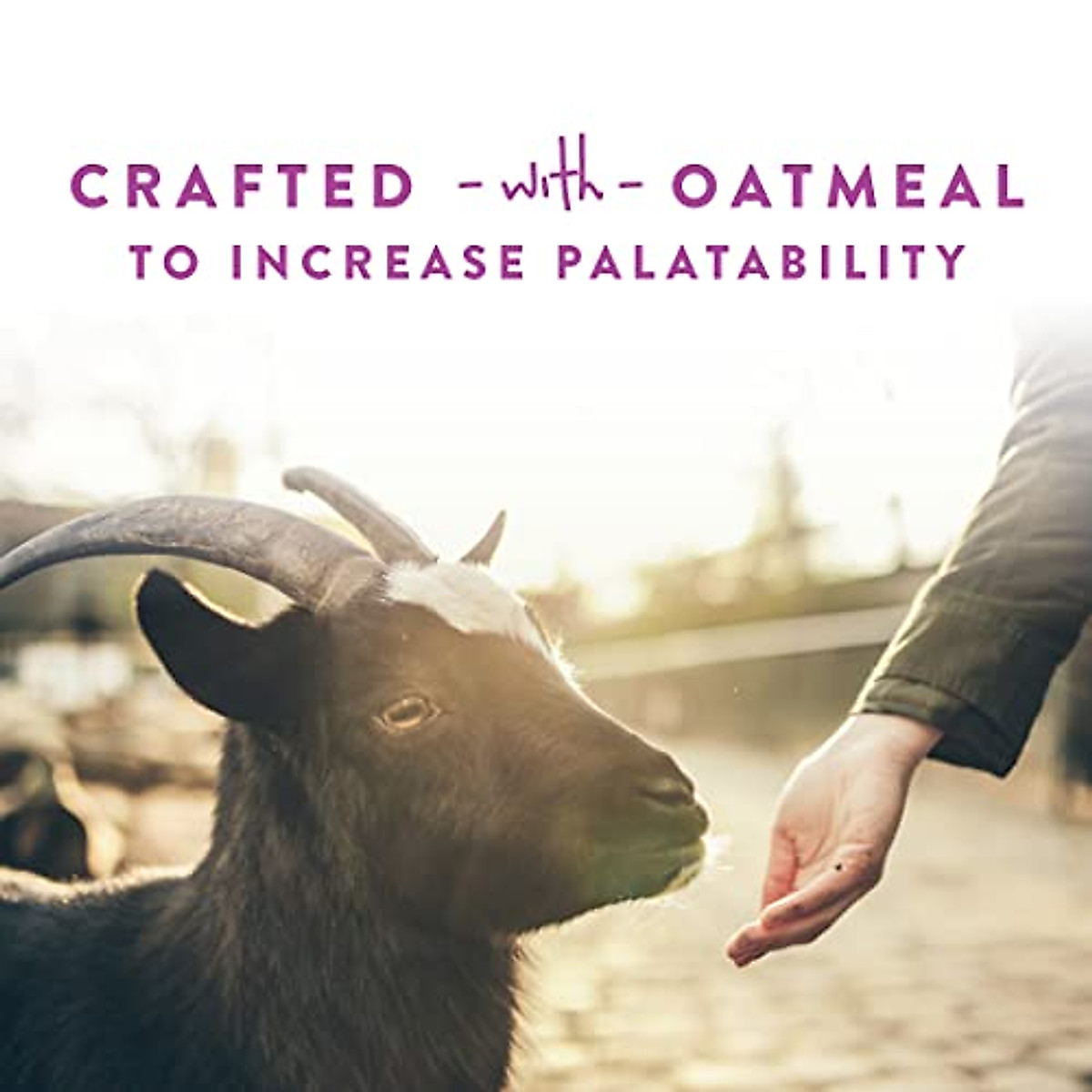 Manna Pro Goat Treats - Made with Oatmeal – Daily Goat Treats - Licorice Flavor – 6 Pounds of Goat Treats