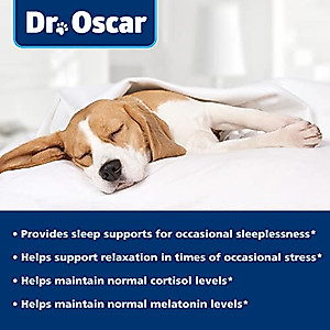 Dog Sleep Aid for Dogs, Better Than Melatonin for Dogs or Calming Chews for Dog Sleep, Best Dog Sleeping Pills + Dog Melatonin, Dog Melatonin Treats, 120 Sleeping Pills for Dogs, Puppy Sleep Aid, USA