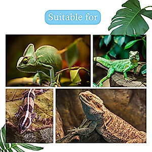 MUYG 4 PCS Bearded Dragon Hammock, Lizard Lounger Reptile Natural Seagrass Hammocks Climb Vines Plant Decoration Terrarium Accessories for Lizards Chameleon Gecko Snakes Crown Geckos