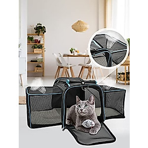 Cat Carrier, WHDPETS Large Pet Carrier with Wheels, Expandable Soft-Sided Cat Collapsible Carrier with 2 Large Extensions for Cats, Puppy and Small Animals