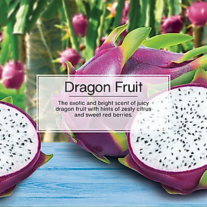 LITTLE TREES Air Fresheners Car Air Freshener. Hanging Tree Provides Long Lasting Scent for Auto or Home. Dragon Fruit, 24 Air Fresheners