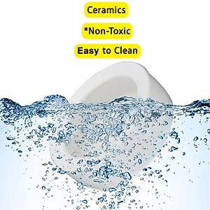 2Pcs Mini Reptile Food Dish Bowls Worm Water Dish Feeder Lizard Gecko Ceramic Pet Bowls with Tongs for Tortoise Lizard Bearded Dragon Frog Leopard Gecko Snake Chameleon(Small, 1.9 Inch)