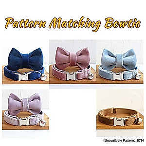 Personalized Cat Collar with Name Plate,Adjustable Tough Nylon Cat ID Collars with Bell,Customize Engraved Pet Name and Phone Number (Velvet Style B)
