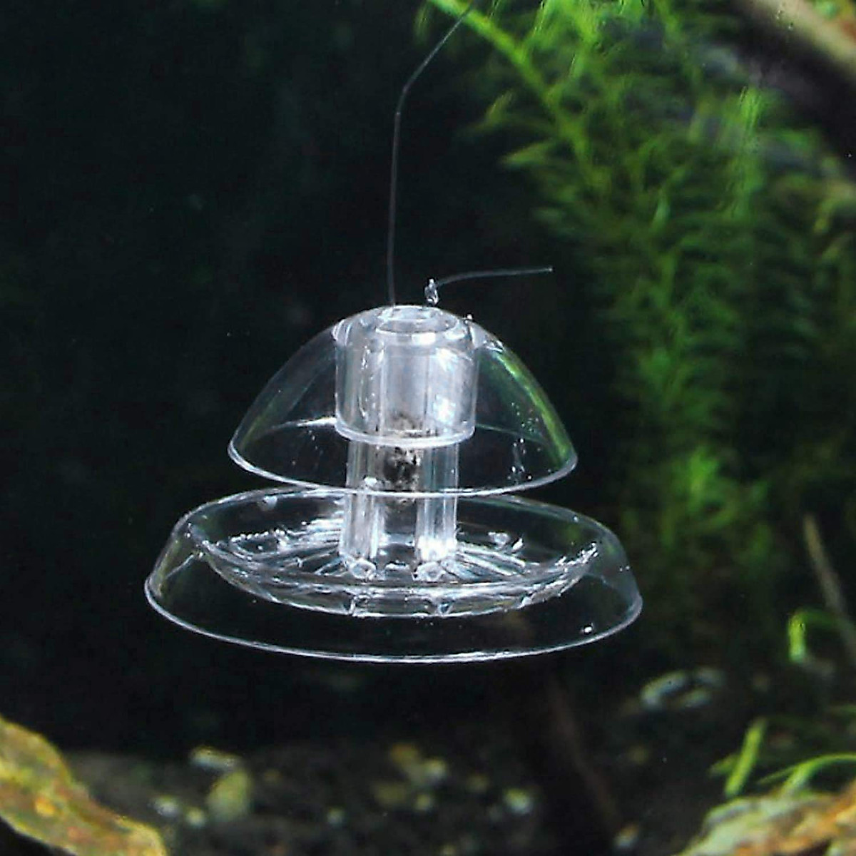 KVSERT 2 Pcs Snail Trap for Fish Tank Aquarium Plastic Clear Snail Trap Planarian Leech Catcher 6cm