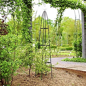 Relaxdays Obelisk Climbing Plant Support Garden Trellis 200cm, Green