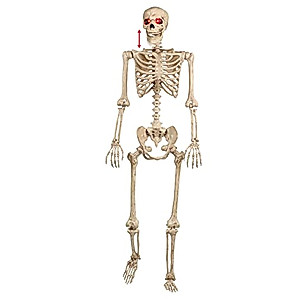 Crazy Bonez Talking Pose-N-Stay Skeleton
