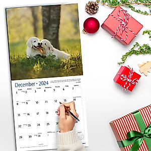 RED EMBER Golden Retriever Puppies 2024 Hangable Monthly Wall Calendar | 12" x 24" Open | Thick & Sturdy Paper | Giftable | Cute Dog | Every Day is Golden