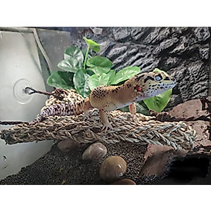 2 Pack Reptile Lizard Bearded Dragon Hammock,Reptile Lounger,100% Natural Grass Fibers Hammock Bed for Bearded Dragons, Geckos, Iguanas, Hermit Crabs (Triangular + Rectangle)