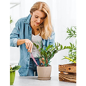 NiHome Comprehensive Plant Support Stake Set of 6 - Durable, UV Resistant 39.5" Stakes with Extension Poles, Orchid Clips & Plant Ties for Climbing Indoor & Outdoor Plants, Monstera, Pothos & More