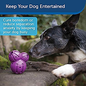 PetSafe Busy Buddy Barnacle - Dog Chew Toy - Treat Dispensing Dog Toys Purple Large