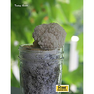 Root Mushroom Farm-Mushroom Liquid Cultures/Lion's Mane(Hericium erinaceus)