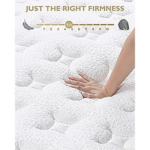BedStory Queen Mattress - Made in USA - 14 Inch Hybrid Mattress Medium Feel, Individually Wrapped Coils for Pressure Relief & Motion Isolation, 80”x60”x14”