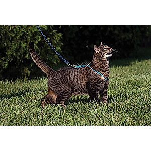 PetSafe Come With Me Kitty Glitter Harness and Bungee Cat Leash, Large