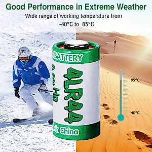 LiCB 10 Pack 4LR44 6V Battery PX28A 476A A544 K28A L1325 Battery 6V Alkaline Batteries for Dog Collars