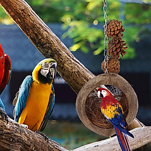 POPETPOP Coconut Bird Nest Natural Coconut Shell Hideaway Hanging Bird House Parrots Hide Hut Habitats Cage Accessory for Pet Budgies Parakeet Lovebird Finch Canary