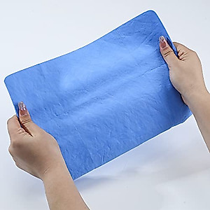 WAYOGU Chamois Cloth for car,Shammy Towel for car,The Absorber 5-Pack Bagged (16"X12")