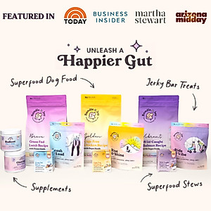 Bundle x Joy Radiant Hip and Joint Support Supplement for Dogs, 90 Soft Chews, Glucosamine Chondroitin for Dogs with Collagen, Turmeric, MSM, Colostrum, Helps Support Mobility and Flexibility