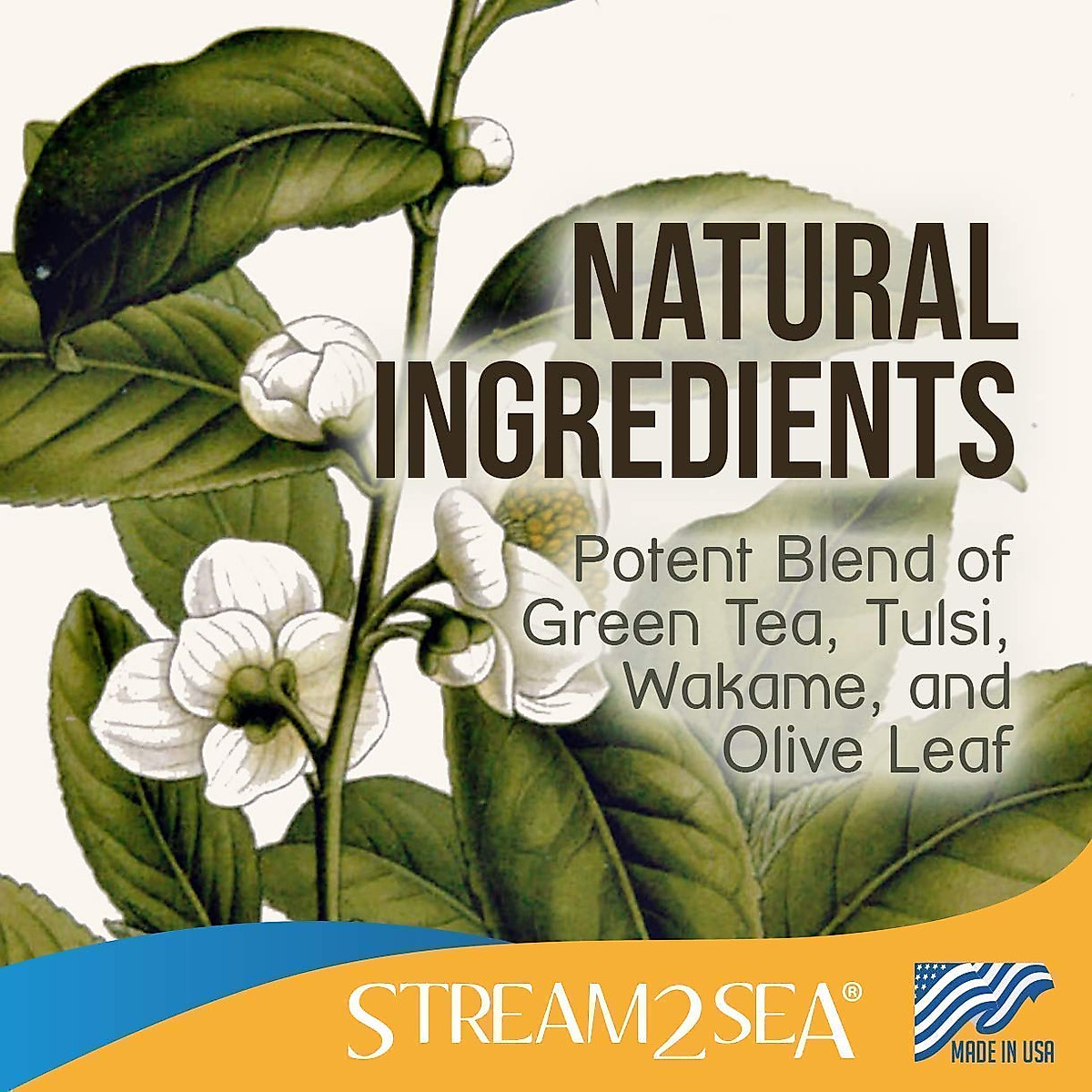 STREAM 2 SEA Leave-In Conditioner and Squalane Oil for for Moisturized Skin and Hair with Vitamin E - Natural Protection and Hydration for Skin - Reef Safe and Paraben Free.