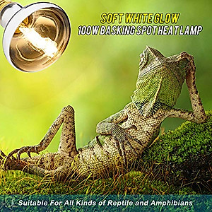 HANJION 100W Reptile UVA Infrared Basking Spot Lamp,Full Spectrum Sun Soft Lighting Heat Bulbs,Bearded Dragon Light Bulbs for Reptile & Amphibian,Silver-2 Pack