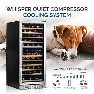 Newair 24" Wine Cooler Refrigerator, Large 116 Bottle Built-in or Freestanding Dual Zone Wine Cellar in Stainless Steel with Precision Thermostat, Full Extension Beechwood Shelves