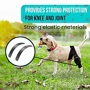 Dog Leg Braces for Back Leg - Dog Knee Brace For Support With Cruciate Ligament Injury, Joint Pain And Muscle Sore,- Dog Knee Brace for Torn ACL Hind Leg Adjustable Rear Leg Braces (Large)