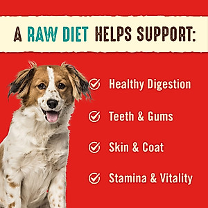 Stella & Chewy's Freeze Dried Raw Dinner Patties – 14 oz Bag & Freeze Dried Raw Dinner Patties – Grain Free Dog Food, Protein Rich Surf ‘N Turf Salmon & Beef Recipe – 14 oz Bag