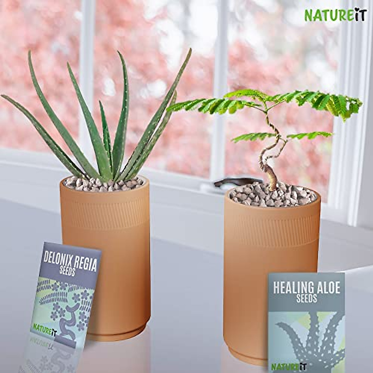 Bonsai Tree and Aloe Vera Plant Starter Kit, Sow and Grow Bonsai and Healing Aloe, Aloe Vera and Bonsai Tree Seeds with Indoor Self-Watering Terracotta Planter Pots, Plant Lover Gift & DIY Adult Craft