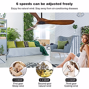 NWIASS 70 Inch Outdoor Ceiling Fans for Patios, Modern Ceiling Fan No Light with Remote Solid Wood Ceiling Fan Damp Rated, 3 Blade Large Ceiling Fan for Indoor High Low Sloped Ceiling, DC Ceiling Fan