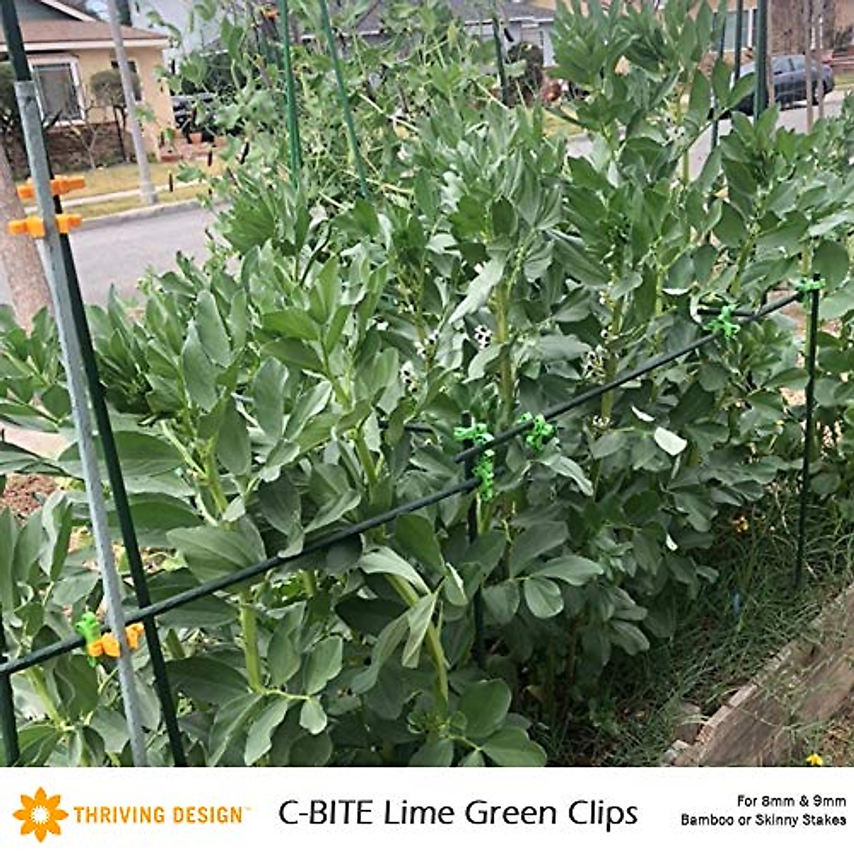 C-BITE Garden Clips Customizable, Reusable, and Strong Connections to Metal or Bamboo Stakes. Create Custom Support Solutions Clips Build Sturdy Tomato Cages, Climbing Vine Trellis (Lime)