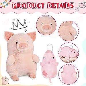 Zomiboo 5 Pcs Pig Baby Plush Cute Stuffed Animal Toy Set, Mini Pig Stuffed Animal Stuffed Pig Plush for Baby Shower Birthday Party Favors Gifts, Students Classroom Prizes, 4 inches