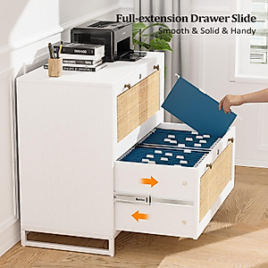 VINGLI White & Natural Rattan 2 Drawer Lateral File Cabinet with Lock, Wood Locking File Cabinets for Home Office, File Cabinet Printer Stand for Hanging Letter/Legal Size Folders, 30W x 16D x 28H